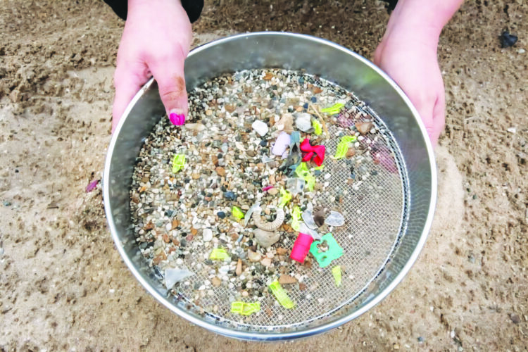 Plastic Free July | News, Sports, Jobs - The Mining Gazette